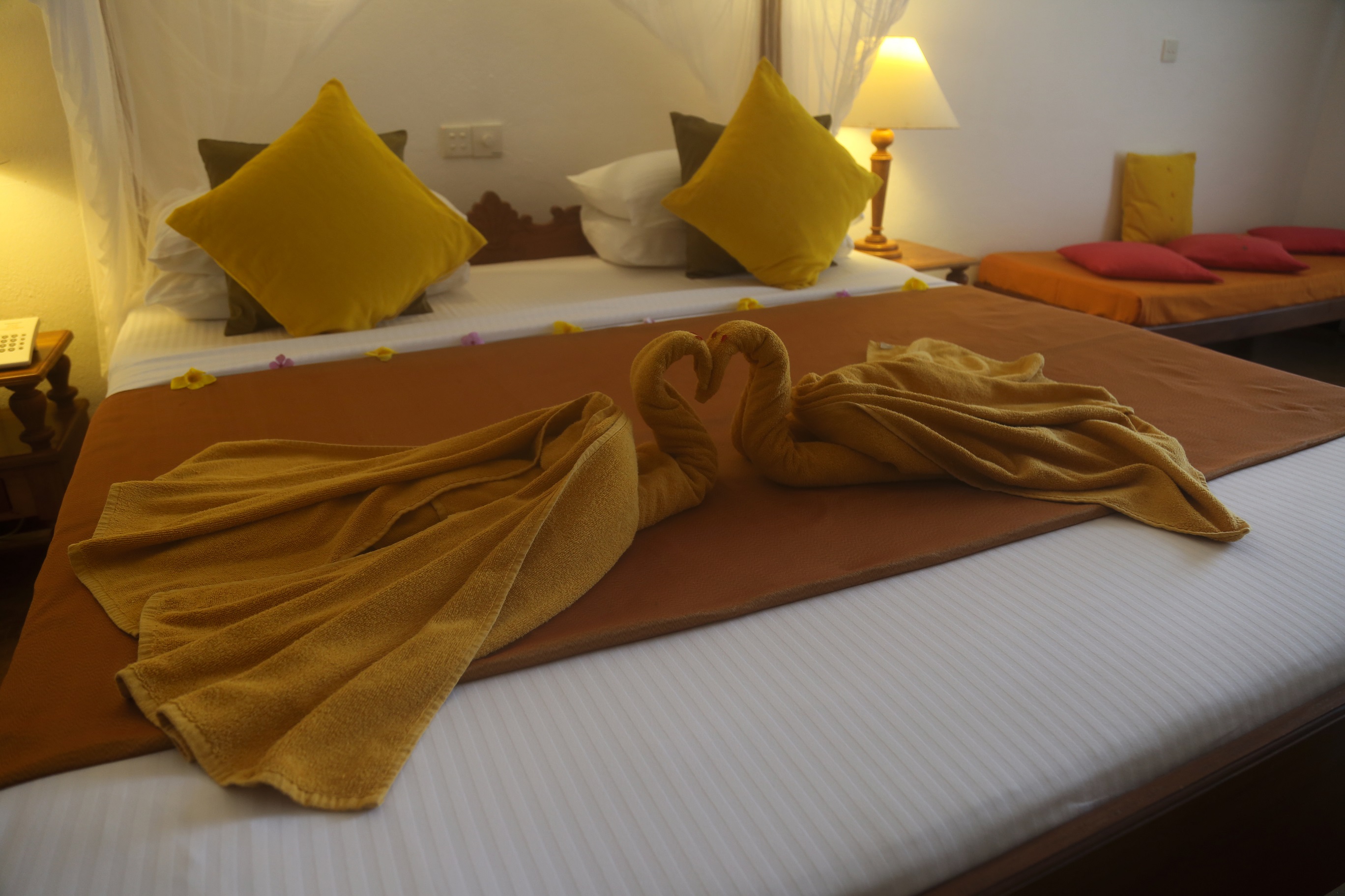 Accommodation – BARBERYN WAVES